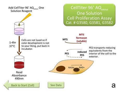 interactive cell analysis compressed ppt chemistry science