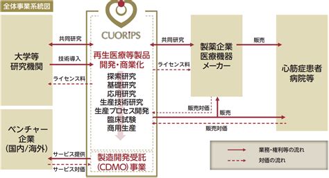 クオリプスipoの評価とipo初値予想！ Ipoで勝つ株式投資