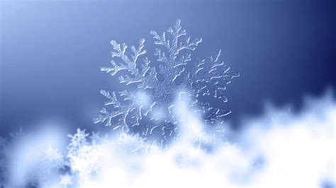 눈에 관한 흥미로운 사실들