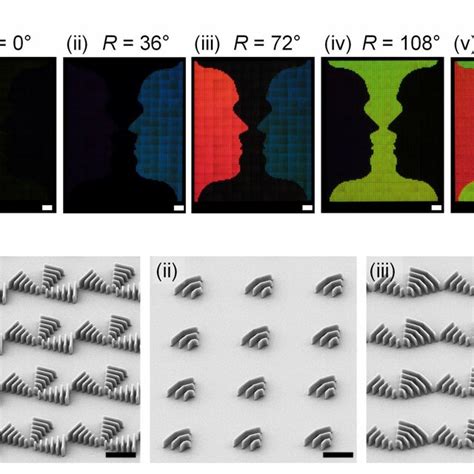 Revealing Rubins Vase A Optical Micrographs Of Rubins Vase Under Download Scientific