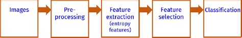 Figure 1 From Application Of Entropies For Automated Diagnosis Of
