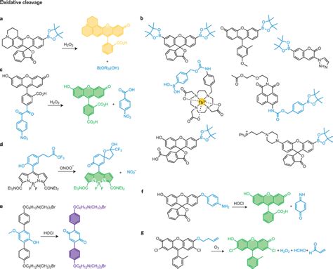 Representative Oxidative Cleavage Reactions For Small Molecule