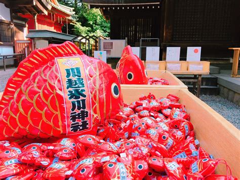 Seibu Kawagoe Pass Diskon 50 Harga Paket