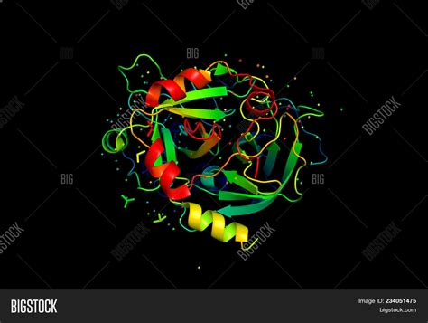 3d Model Protein Image And Photo Free Trial Bigstock