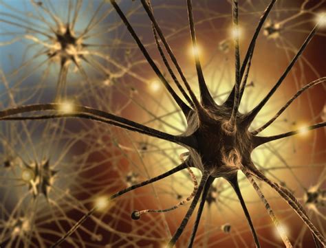 La Enfermedad De Alzheimer «salta De Una RegiÓn A Otra Del Cerebro De