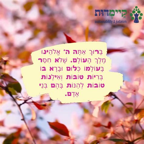 ברכת האילנות היא ברכה שחכמים חיברו עבור פריחת האילנות אותה מברכים החל