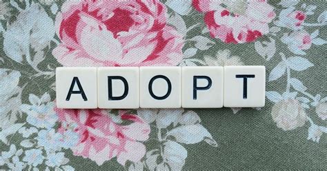 Regain Control Over Orphaned Resources With Cdk Xebia