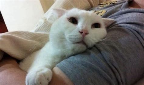 实名举报翘屁嫩猫：年纪轻轻当小三，毁我家庭！ 哔哩哔哩