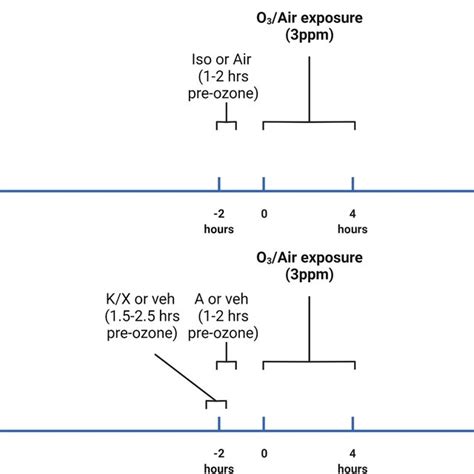 Schematic Of Anesthesiaozone O3 Exposure Protocols A Shows The