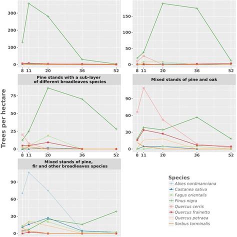 Average Number Of Trees Per Hectare Depending On Tree Diameter Within Download Scientific
