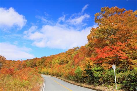 秋の楽しみ：山形グルメ満載｜特集｜やまがたへの旅 山形県の公式観光・旅行情報サイト