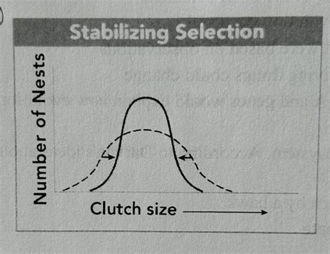 Biology Evolution Test Questions Flashcards Quizlet