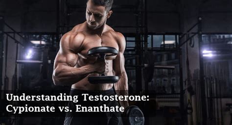 Testosterone Enanthate Vs Cypionate Things You Should Know Rock