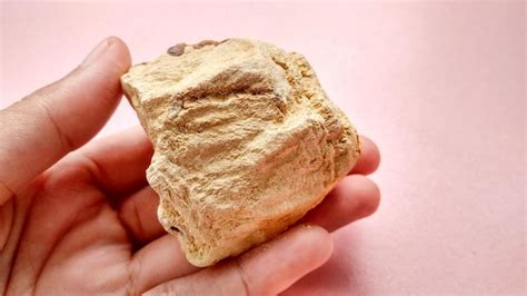 Premium Photo Yellow Fine Grained Calcarenite This Sample Comes From