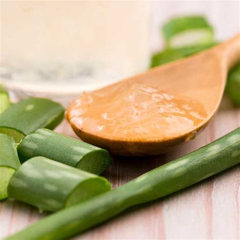 Conoce los múltiples beneficios del aloe vera también en la