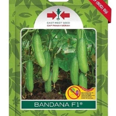 Promo Benih Timun Bandana F1 Isi 800 Butir Cap Panah Merah Diskon 5 Di