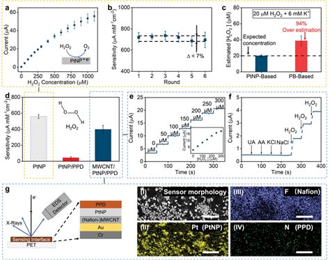 a h2o2 calibration plot of ptnp‐based sensing interfaces n 3 error