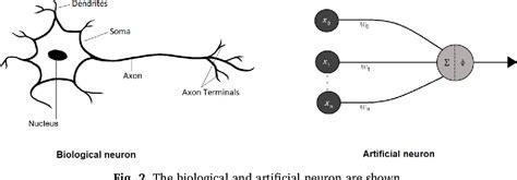Figure 2 From Protein Secondary Structure Prediction Using Neural Networks And Deep Learning A
