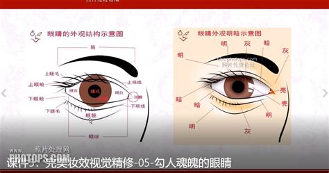 Ps完美妆效视觉精修中文教程 摄影后期教程 Lightroom摄影photoshop后期