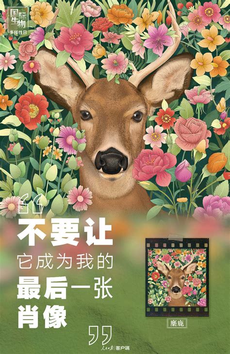 “不要让它成为我的最后一张肖像”来源