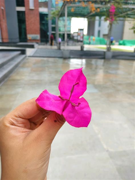 Shruti Sagar On Linkedin Kindness Respect Love Career Life