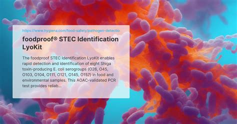 Foodproof® Stec Identification Lyokit Hygiena