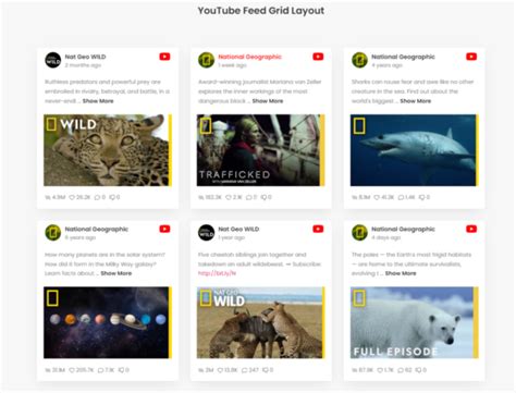 Best YouTube Plugins For WordPress To Get More Views