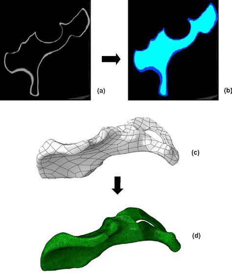 Figure 13 From Development And Validation Of A 2d3d Finite Element
