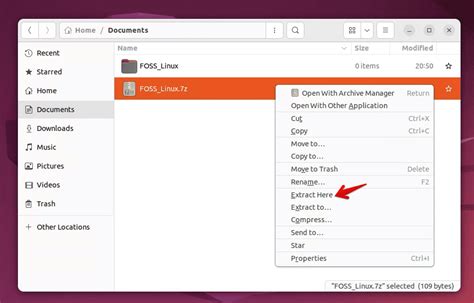 Installing 7 Zip And Executing Commands On Ubuntu