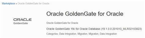 Real Time Data Replication Between Oracle Autonomous Databases Using