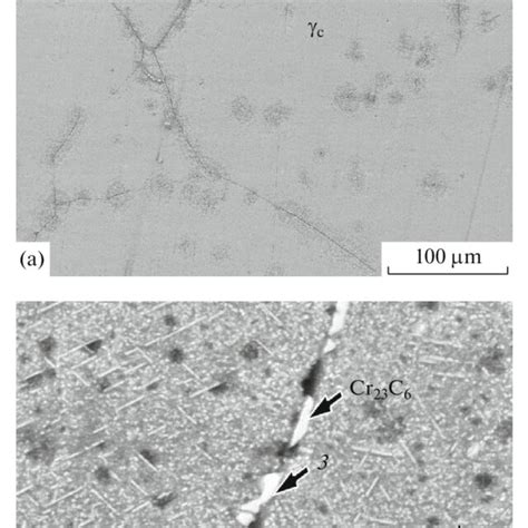 Structure Of The Aisi 321 Steel Electron Scanning Microscopy After