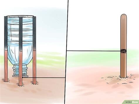 3 Ways To Make A Tripwire WikiHow Tripwire Trip Wire Alarm Survival