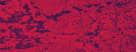 How To Add Expires Headers In Wordpress Easy To Follow Guide