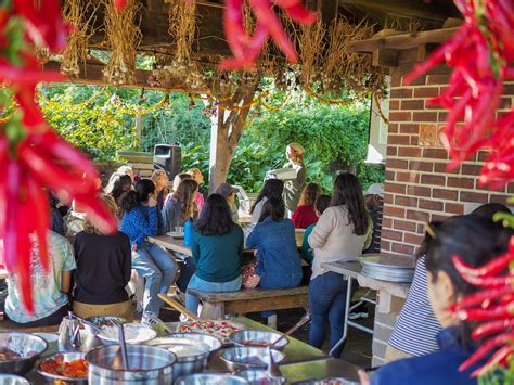 Workday And Knead 2 Know Friday September 23 — Yale Sustainable Food