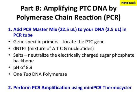 Lab 8 Ptc Polymerase Chain Reaction Lab Using