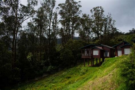 An All Inclusive Ooty Honeymoon Guide 2025 For Couples Updated
