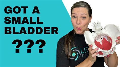 Do I Have A Small Bladder Top 7 Healthy Bladder Habits Youtube