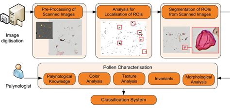 Typical Pollen Detection System Image Digitalisation Pre Processing