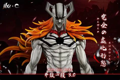 Bleach Ichigo Release Form