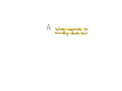 Solved You Completely Inhibit The Helicase Used In Dna Replication In