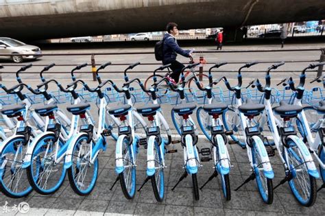 2018年4月10日哈羅共享單車大批量登陸瀋陽 每日頭條