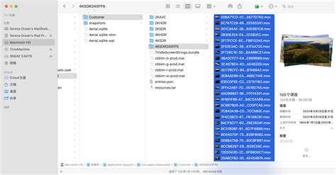 macos sonoma 动态屏保视频下载 120v 56 06gb 知乎