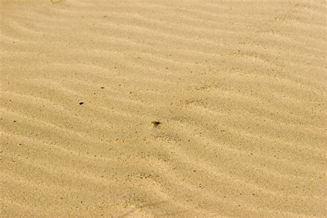 Hinterlassen Imagens Procure 591 Fotos Vetores E Vídeos Adobe Stock