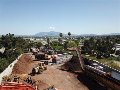 Image Gallery Hamilton Tree Service Inc