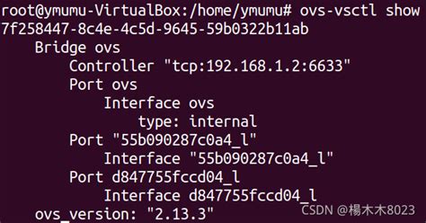 Dockerovs构建sdn网络ovs Docker Csdn博客