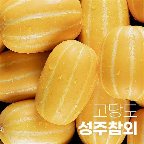 성주참외원예농협 성주참외정품 5kg15~18과 홈플러스 택배배송