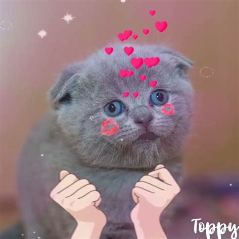 Guys I Made This Is A Cute Guys Youtube