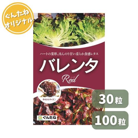 【楽天市場】ぐんたね ジャムレタス バレンタレッド コート種子 30粒 100粒 レタス れたす 野菜 野菜種 種子 種 たね タネ 家庭菜園