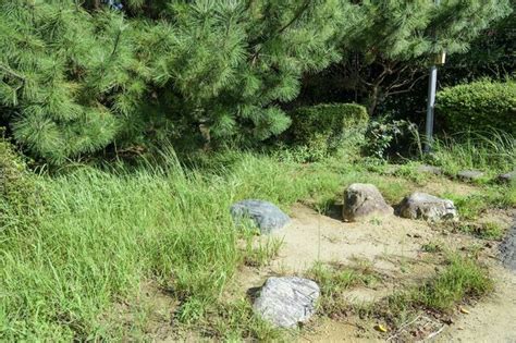 『どうする家康』正妻・築山殿（瀬名）は「悪女」だった？波乱の生涯を辿る 徳川家康と家臣たちのゆかりの地（第1回） 55