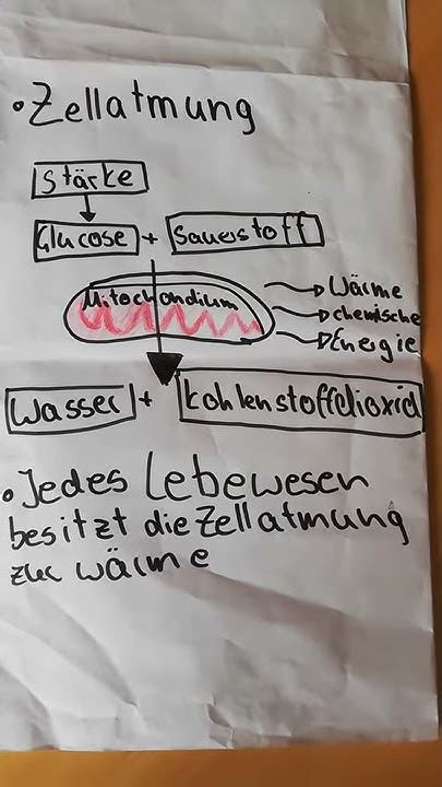 Krasser Typ Erklärt Langweiliges Zeug Youtube